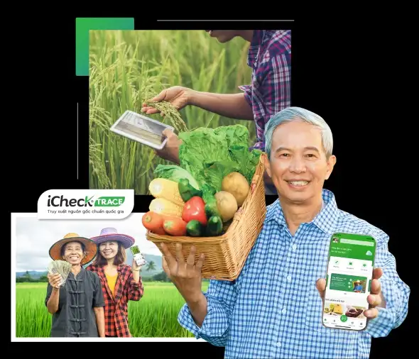 iCheck Trace: Giải pháp truy xuất nguồn gốc toàn diện cho doanh nghiệp